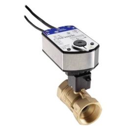 Johnson Controls VG1245FSH958BAC - Ball Valve Assembly, 2 Way, 2 in ...